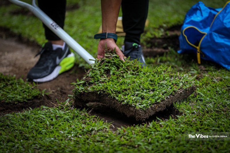 Rumput Stadium Nasional Jadi Kenangan Berharga